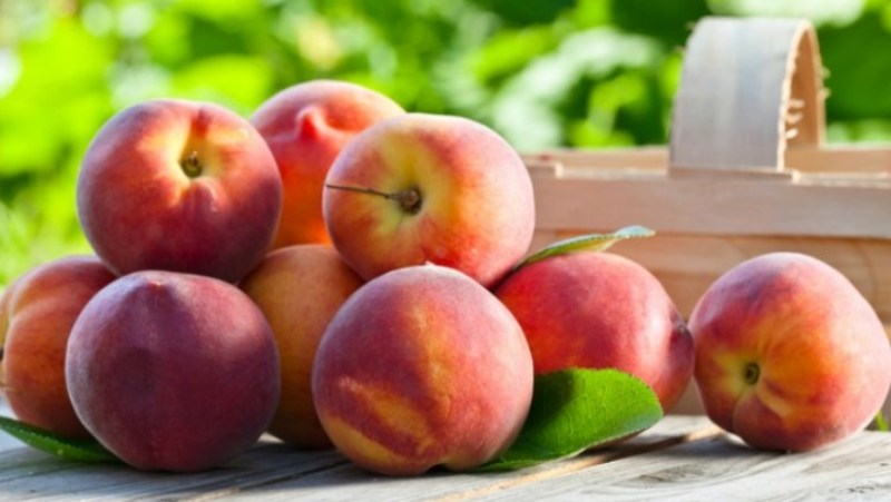 melocoton - Vida Saludable