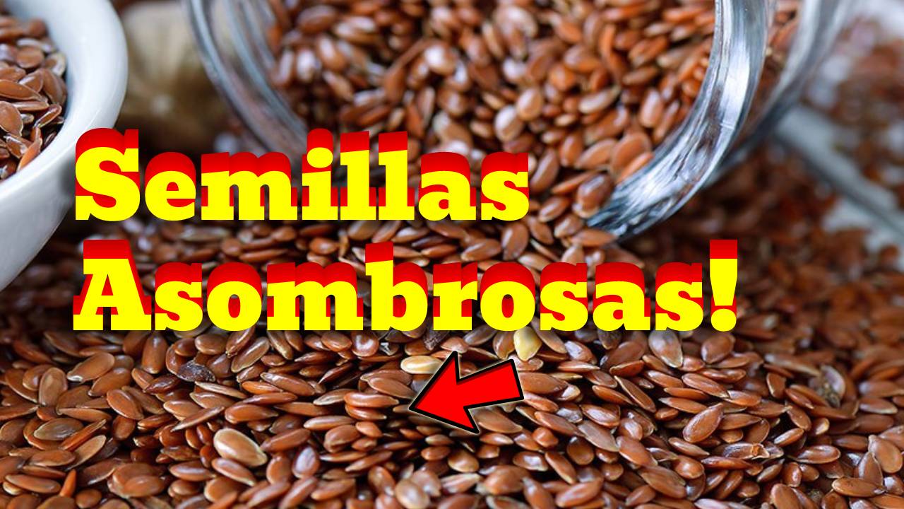 Esta es la pequeña semilla con poderes asombrosos para tu salud. - Vida ...